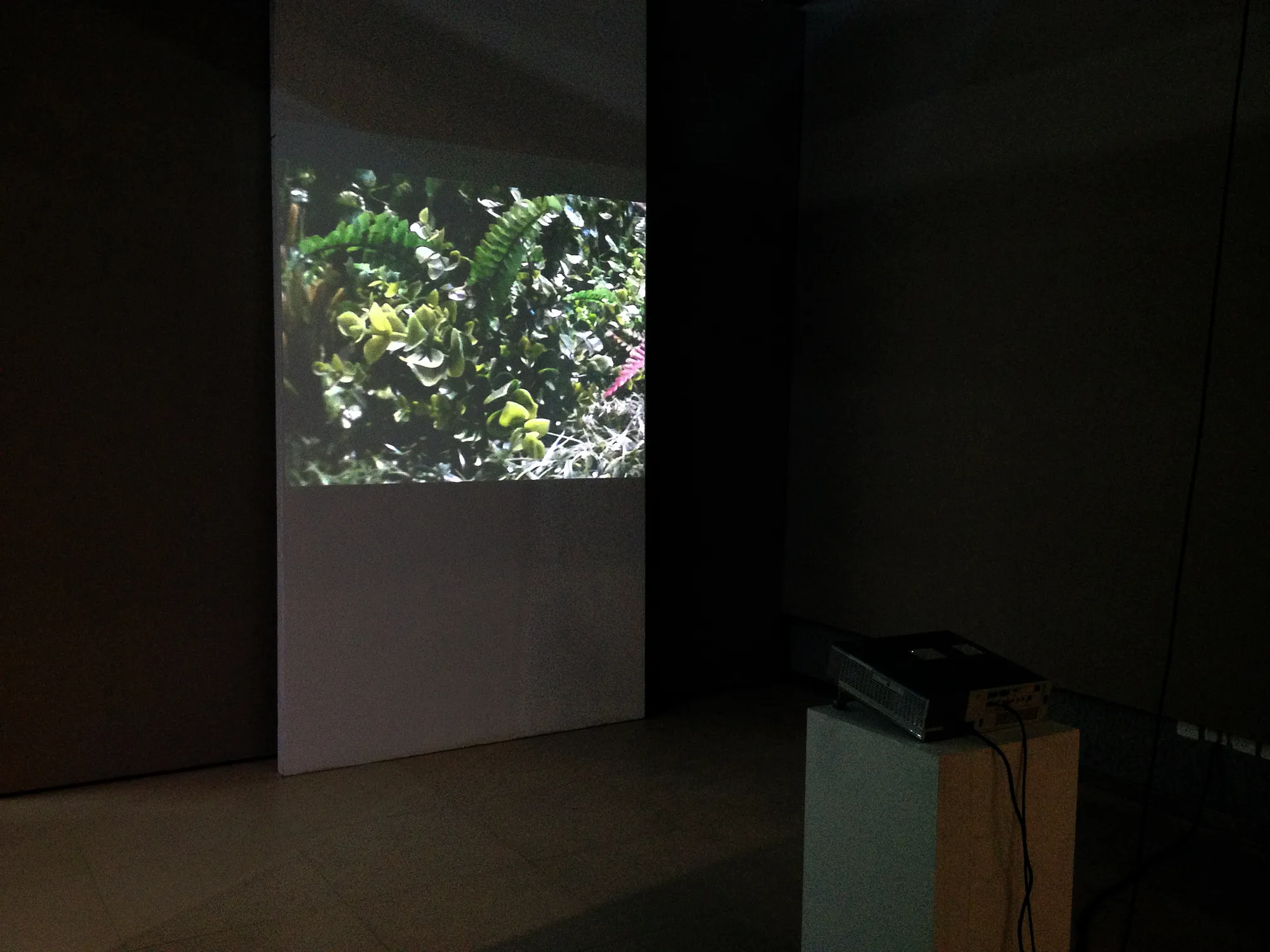 Ben Moren | Green Screen